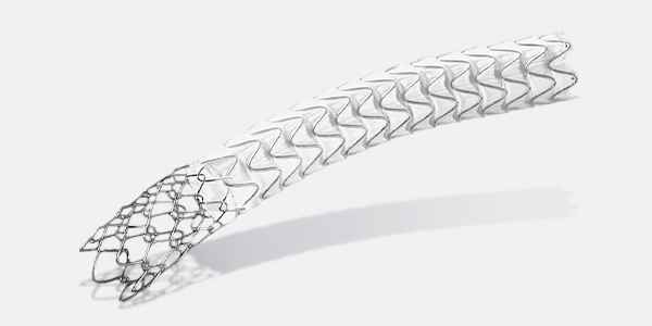 GORE ® VIATORR ® TIPS 覆膜支架系统