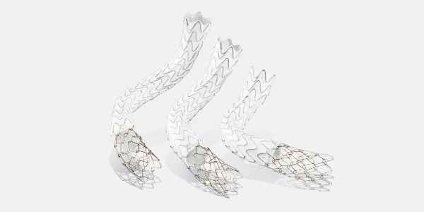 GORE ® VIATORR ® 可控直径TIPS覆膜支架系统